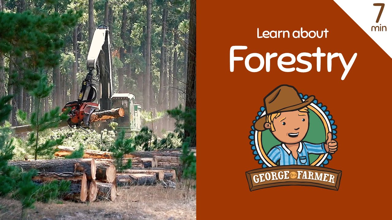 Forestry with George the Farmer - YouTube