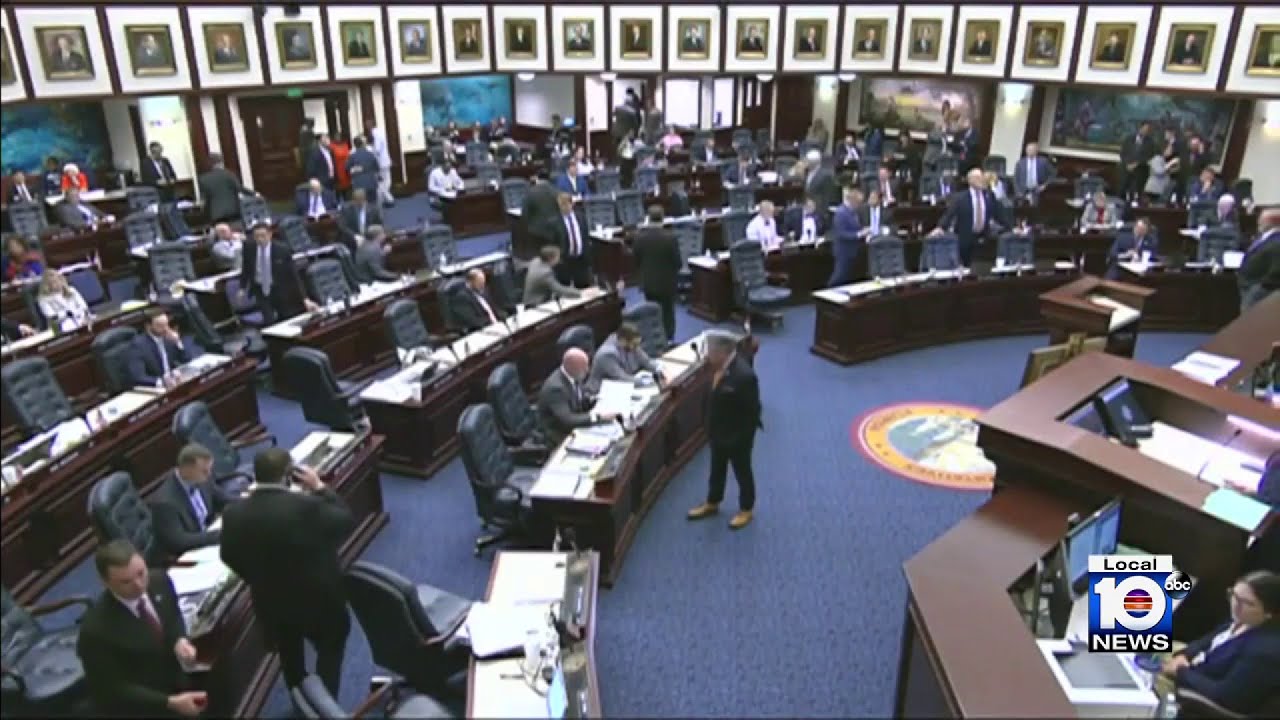 Immigration bill to fund Florida's relocation program - YouTube
