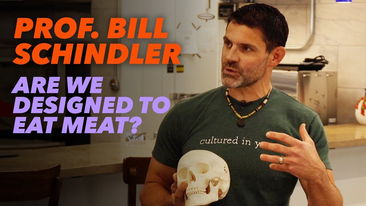 Prof. Bill Schindler - Are We Designed to Eat Meat? - YouTube