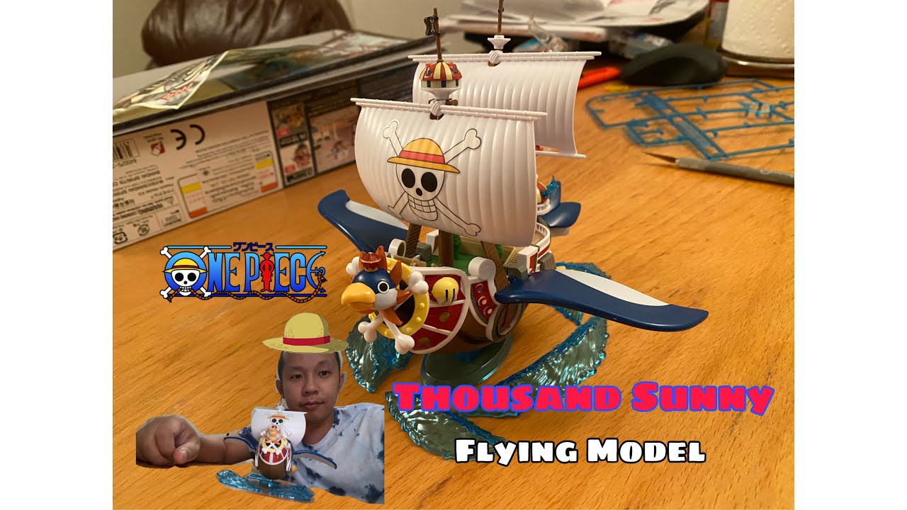 One Piece Thousand Sunny Flying Model - YouTube