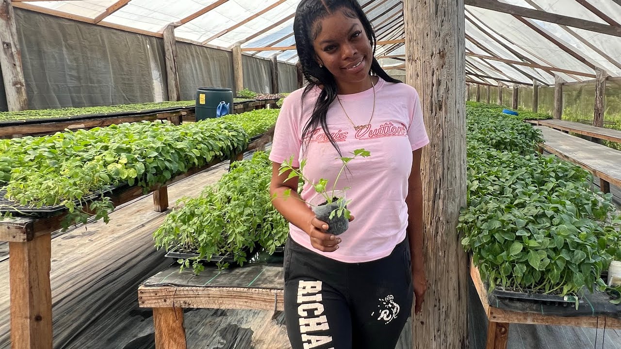 STARTING A VEGETABLE AND HERB GARDEN +25 goats to feed COME FARM WITH ...