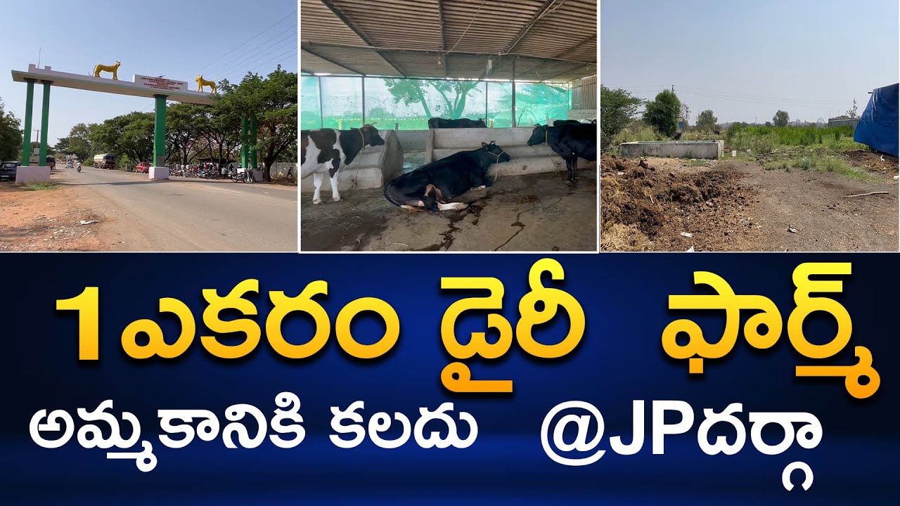 1 Acre Land with Dairy Farm Shed For sale in JP Dargha near Kottur, and ...