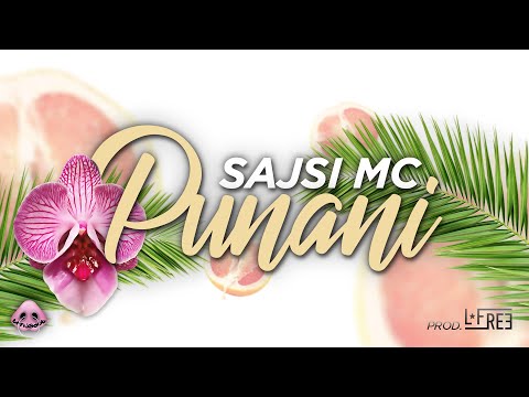 SAJSI MC - PUNANI (OFFICIAL LYRICS VIDEO)
