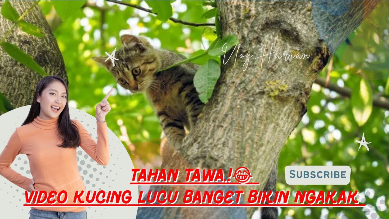 TAHAN TAWA.!😂 Video Kucing Lucu Banget Bikin Ngakak - YouTube
