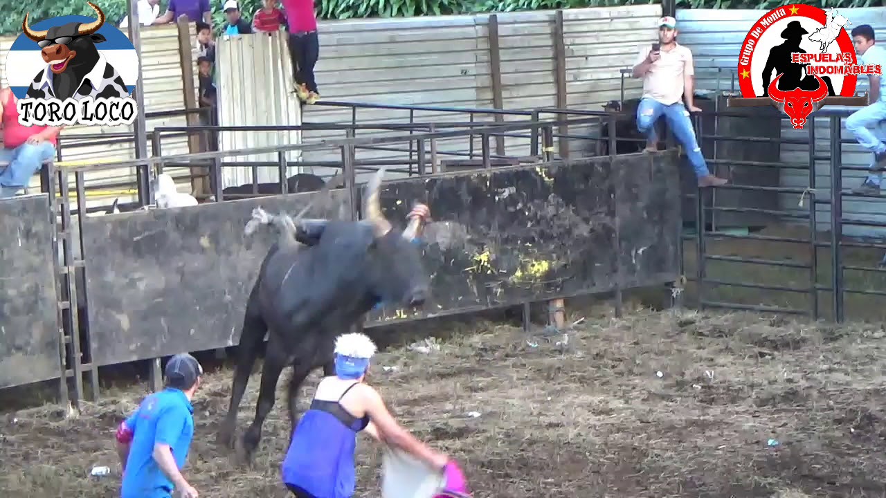 Toro loco la concha 2018 - YouTube