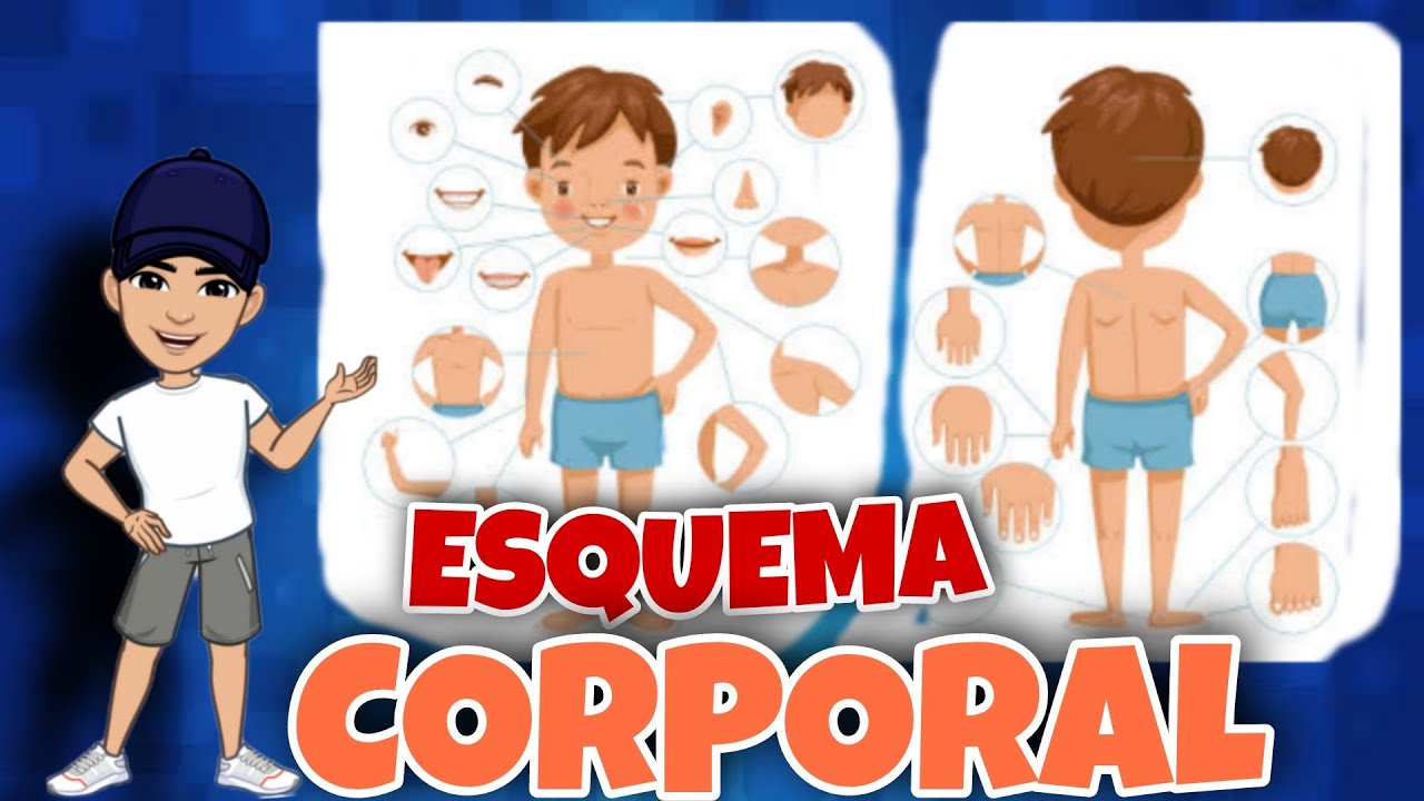 ¿Qué es ESQUEMA CORPORAL en EDUCACIÓN FÍSICA?🧍‍♂️ Explicación para Niños / Aprende en Casa ...