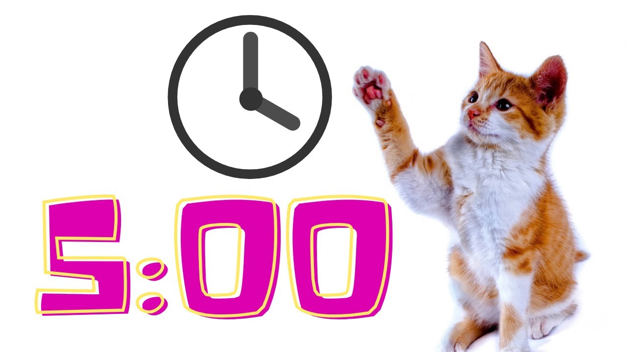 5 minute timer with music for classroom | Cats 🐱 - YouTube