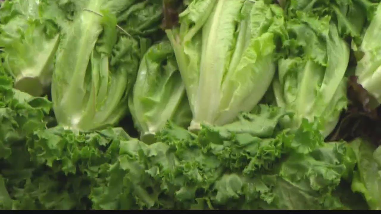 E. coli outbreak reaches Pennsylvania, 2 effected - YouTube