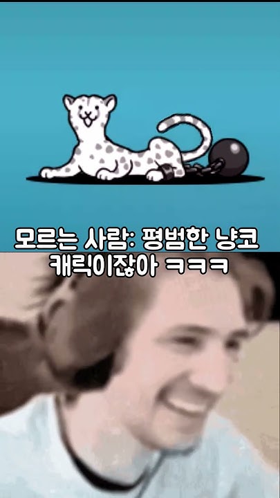 고양이 치타 아는 사람 Vs 모르는 사람 반응 Youtube
