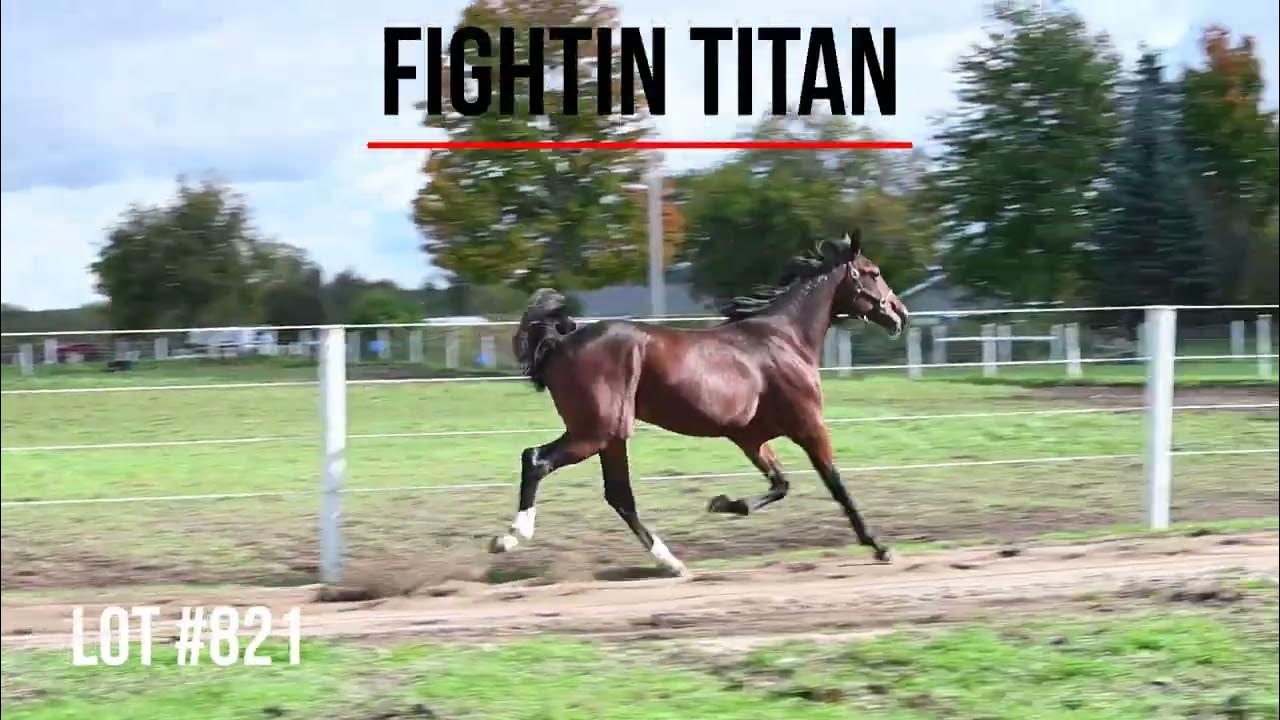 FIGHTIN TITAN 2 - YouTube