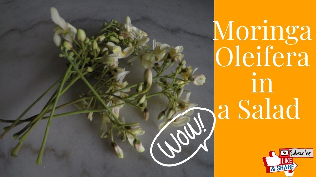 Moringa Flowers In Salads - YouTube