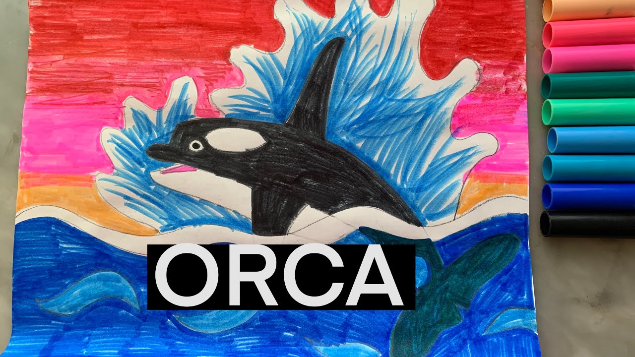 How to draw an Orca - YouTube