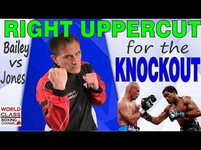 Boxing Uppercut Knockout