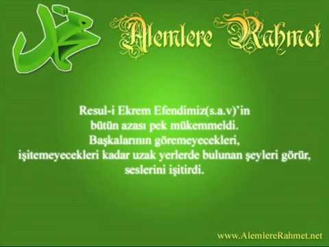 Peygamber Efendimizin(s.a.v) mübarek sureti- hilye i saadet