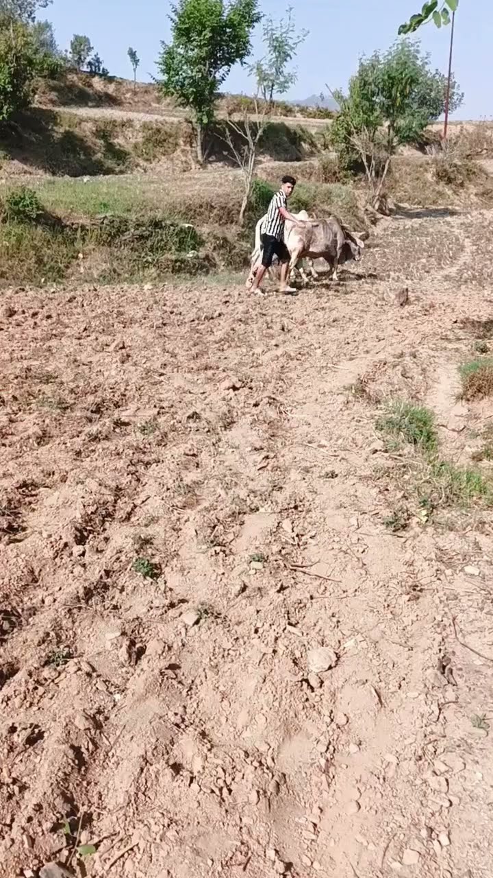 HAL jotna #himu #shortvideo #youtubevideos - YouTube