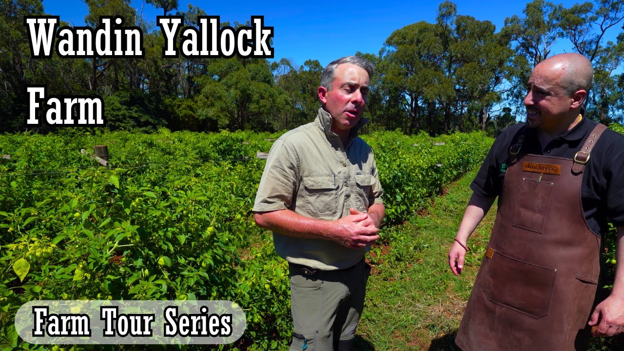 Wandin Yallock Farm - Greenlands Farm Tour Series - YouTube