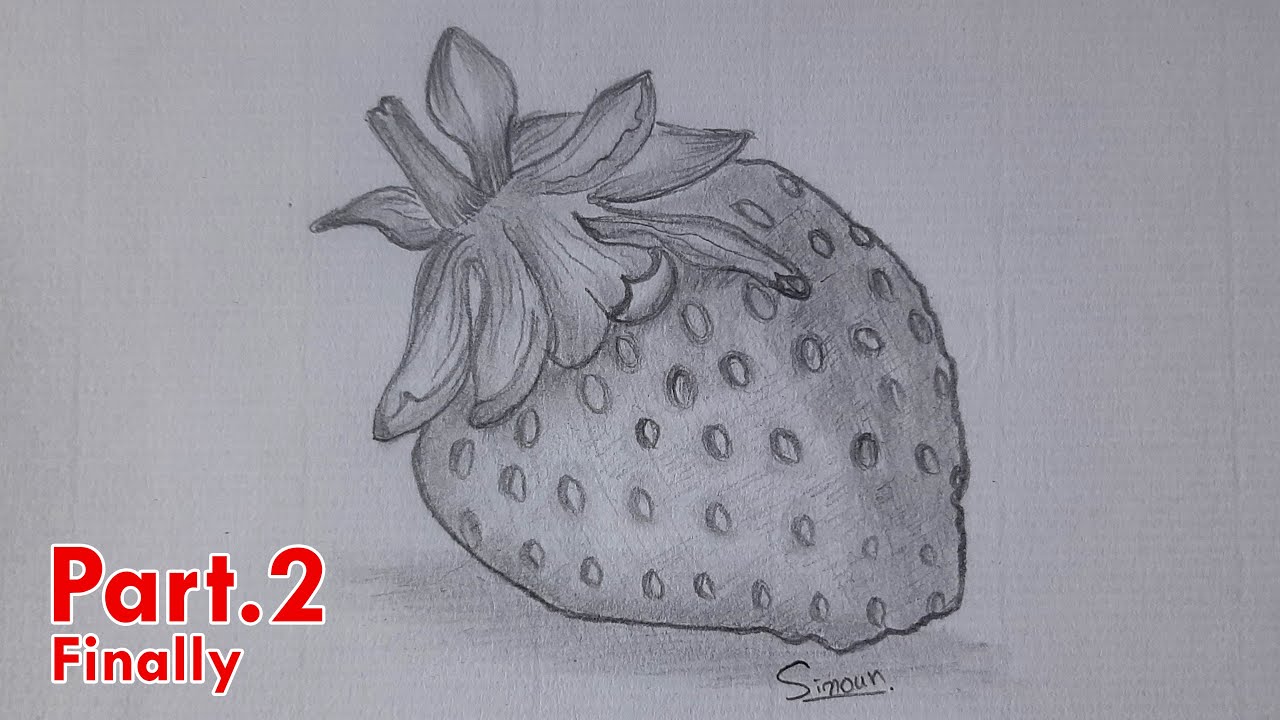 Sketch Strawberry Pencil Drawing