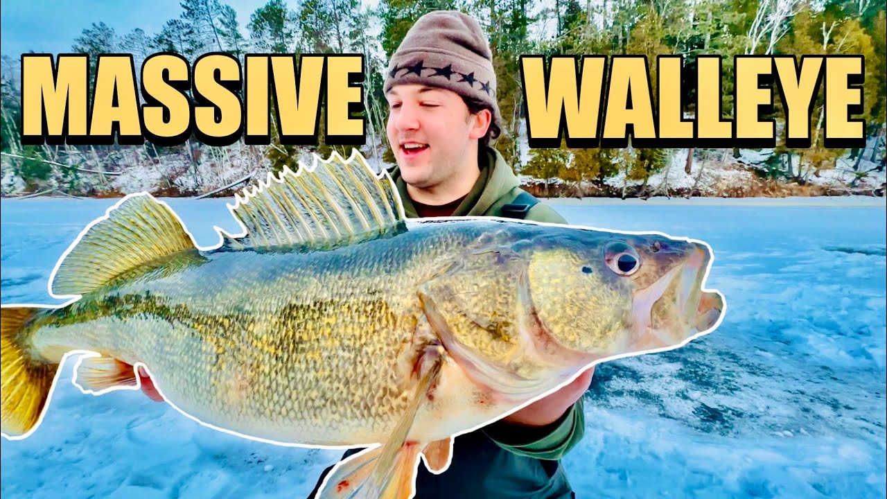 GIANT WALLEYE FISHING IN DULUTH MN | NEW PB!? - YouTube