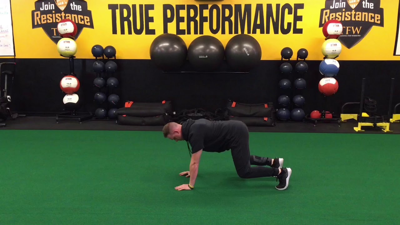 Quadruped Push-Up - YouTube