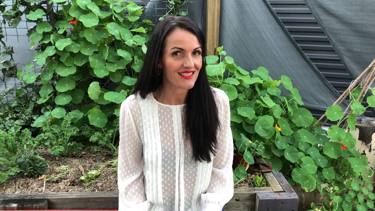 SAVE with Pure Food Wine and Cooking Tours with Chef Dominique Rizzo ...