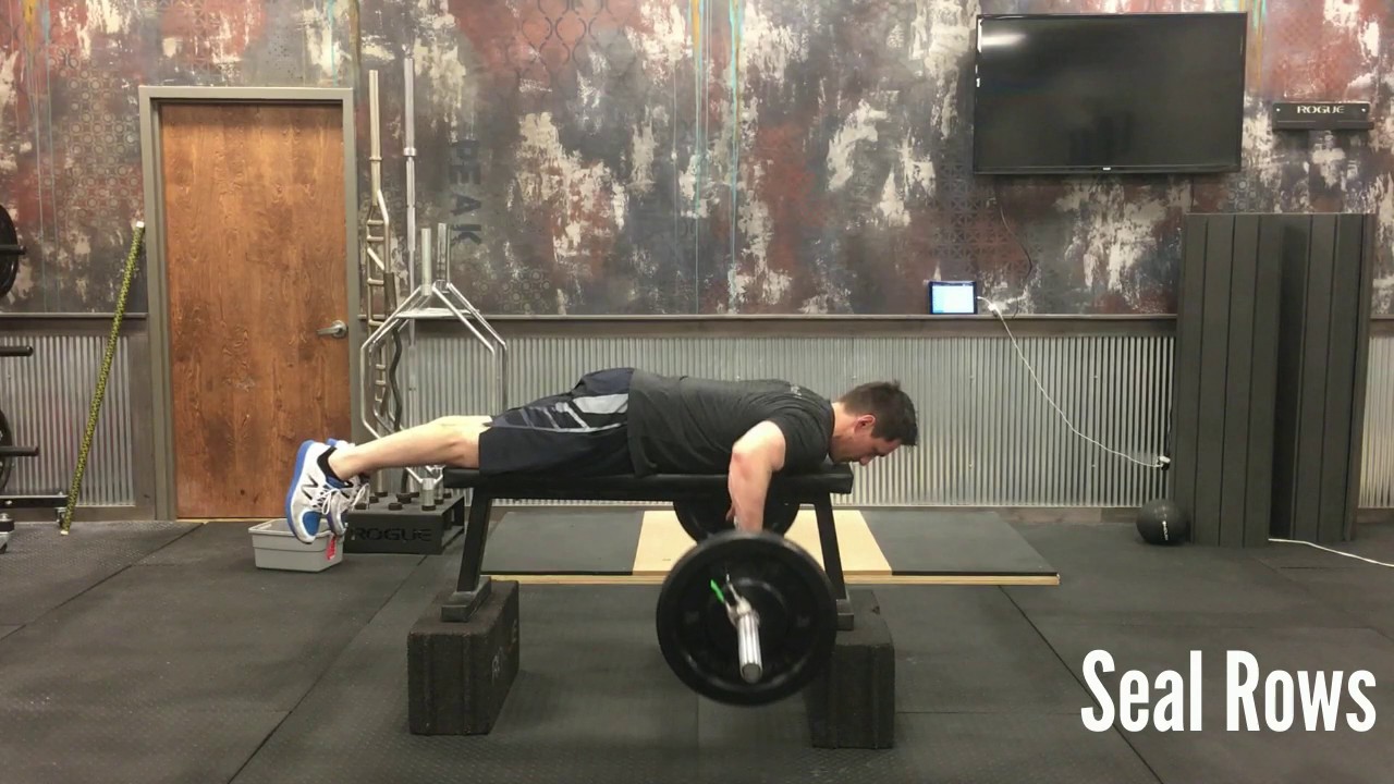 Seal Rows - YouTube