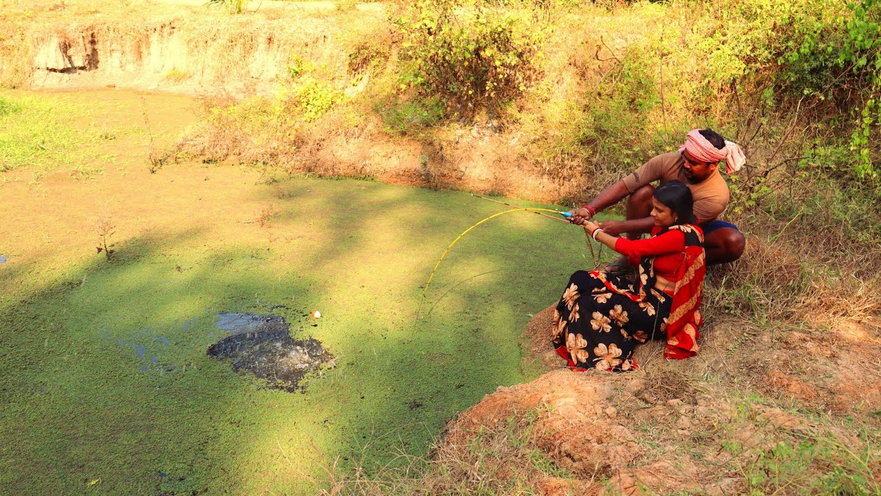 Fishing video| Viral fishing video 2022, Lady fishing in field pond ...