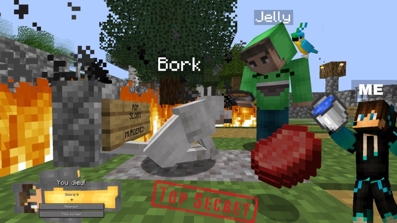 I Saved @slogo's pet (Bork's) Life | #slogo #jelly #crainer - YouTube
