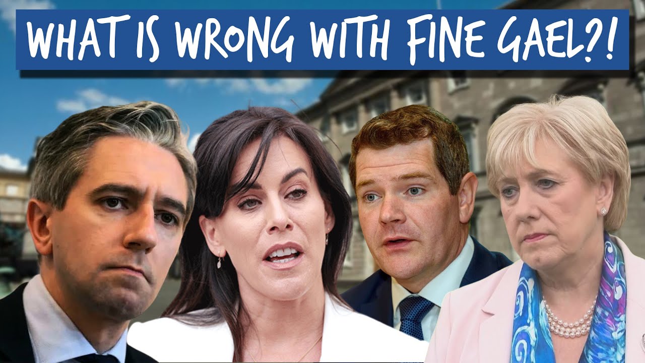 What Is Wrong With Fine Gael?! | The Millennial Cynic #irishpolitics # ...