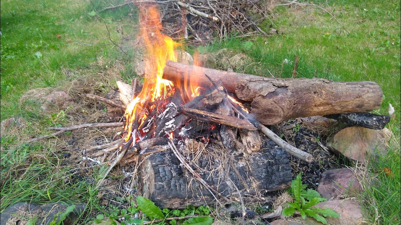 Backyard campfire, clear up fallen branches. Đốt lửa ở sân sau, dọn ...