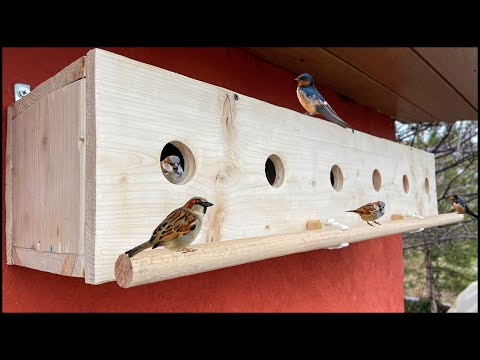 Sıradışı Fikir | Ahşapla Mükemmel Kuş Yuvası Yapmak