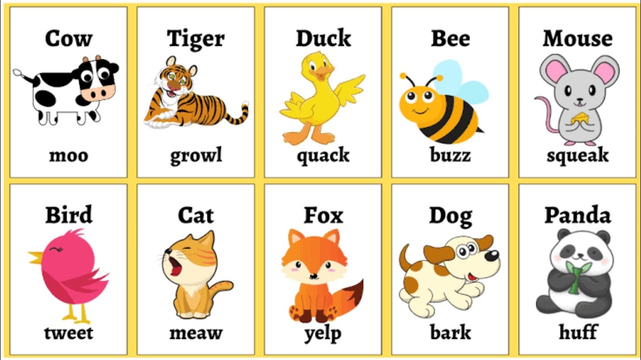 Animals sound. Various animals sound and name in English. Animals ...