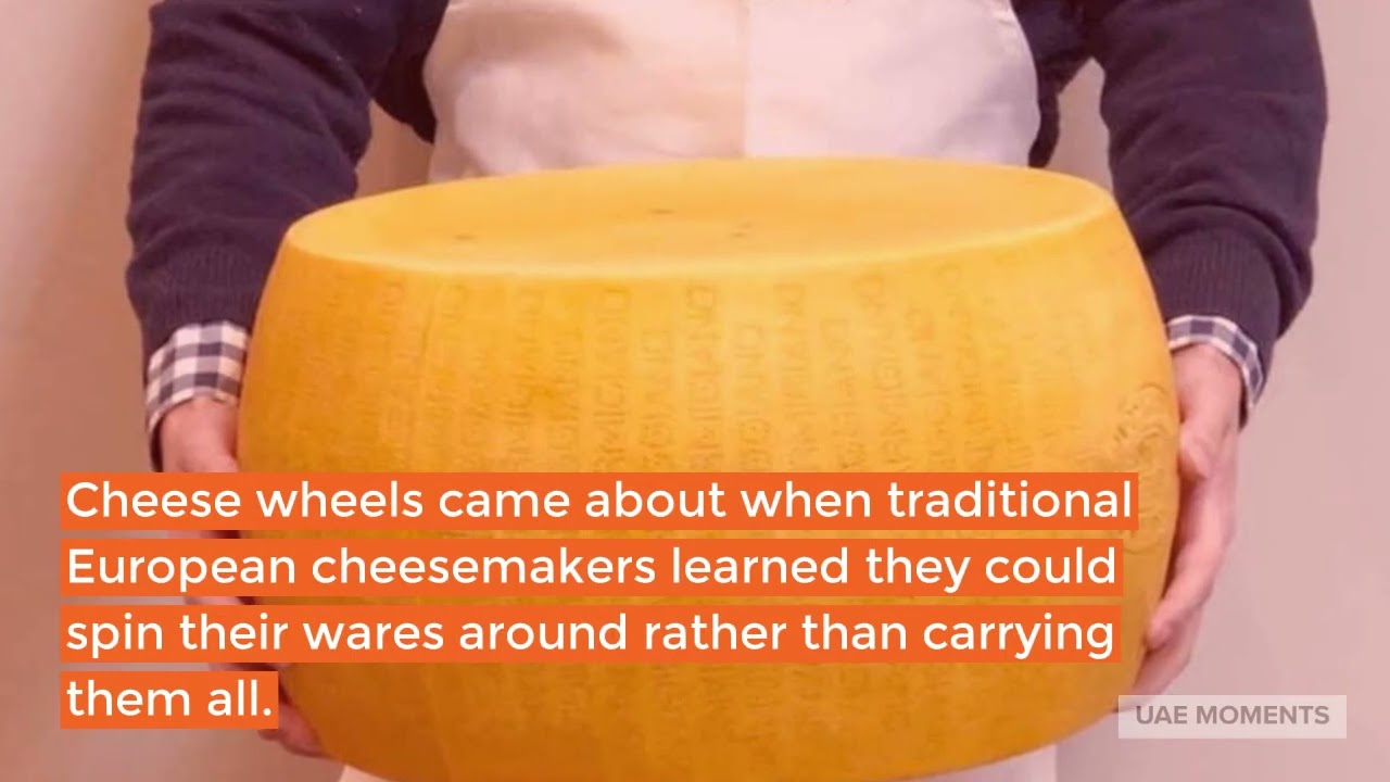 Fun Facts About Cheese! - YouTube