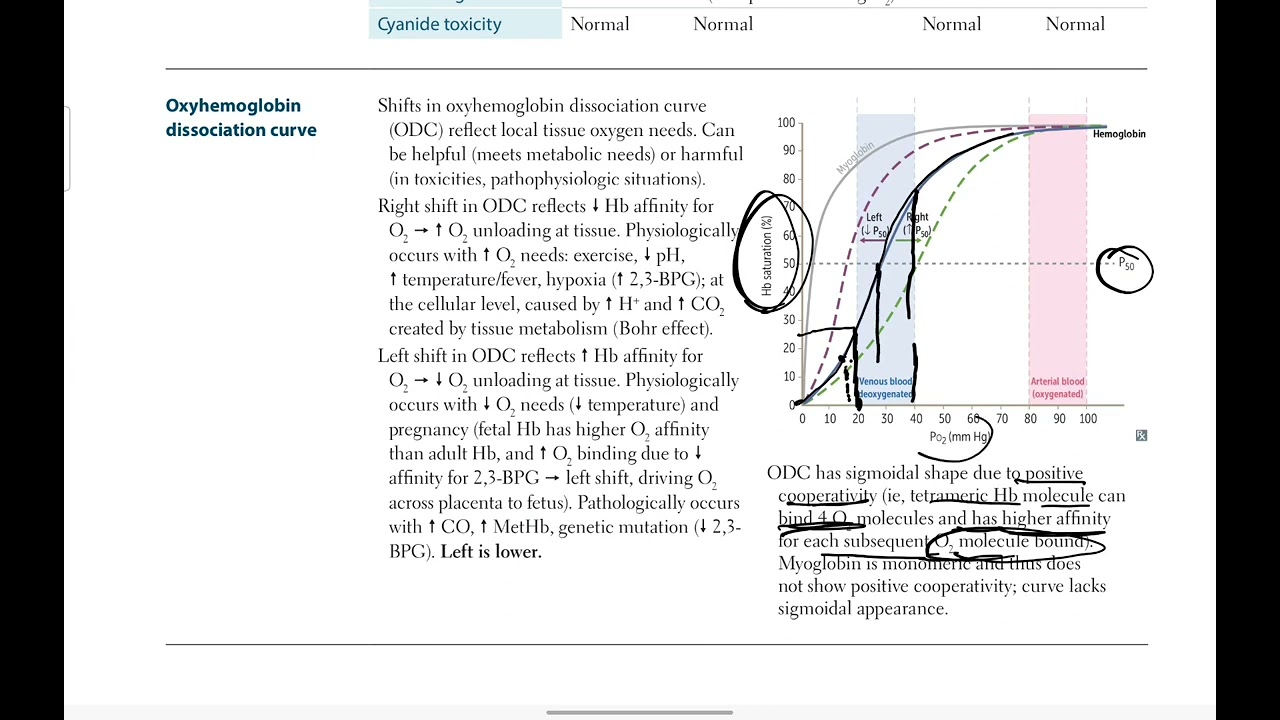Oxyhemoglobin Dissociation Curve | Respiratory # 7 | BACK BENCHER'S ...