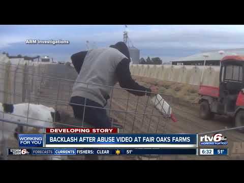 Group calls for boycott of Coca-Cola over Fair Oaks Farm abuse