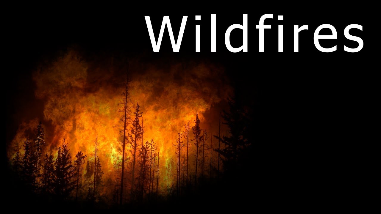 wildfires [ brief history and fun facts ] - YouTube