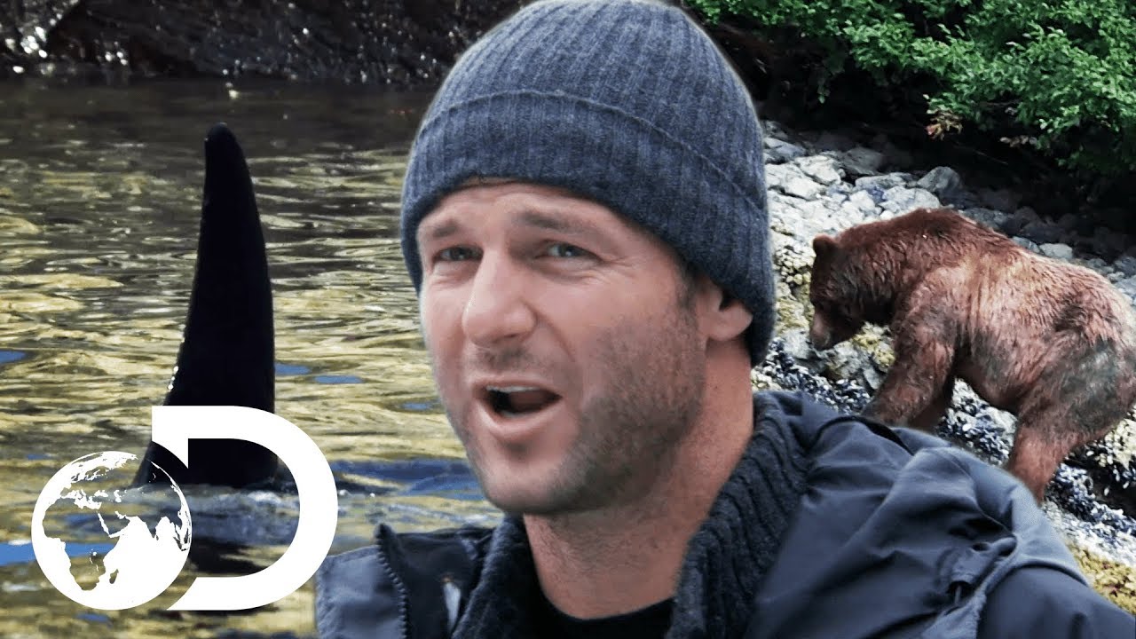 The Deadliest Islands In The World | Deadly Islands - YouTube