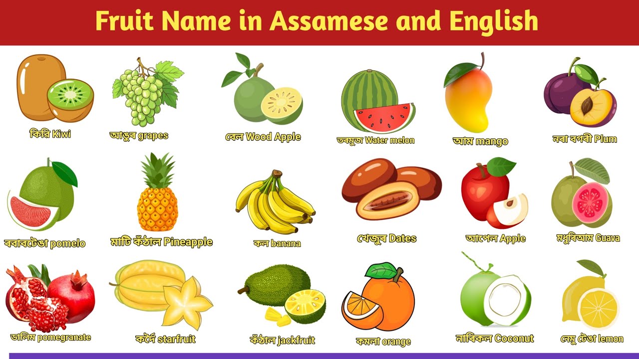 Folor Nam akhomiya aru engraji / Learn Fruit Names - YouTube