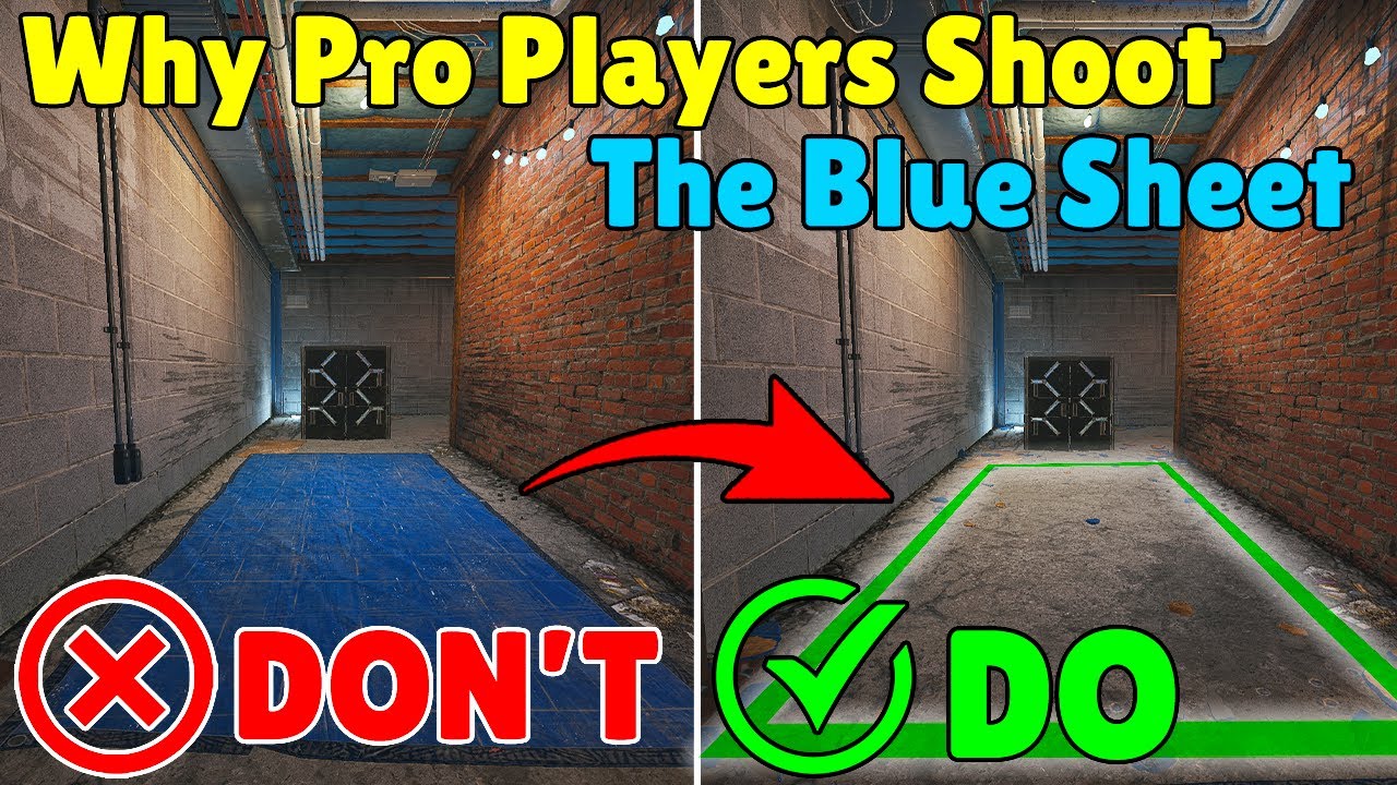 The Reason Why Pro Players Shoot Blue Sheets On Oregon Basement ...