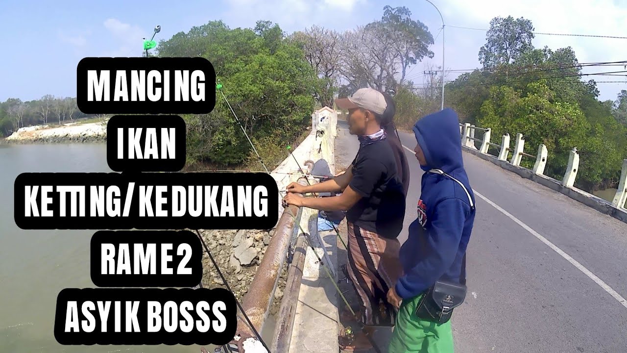 MANCING MANIA || MANCING IKAN KETTING/KEDUKANG RAME2 ASYIK BOSSS - YouTube