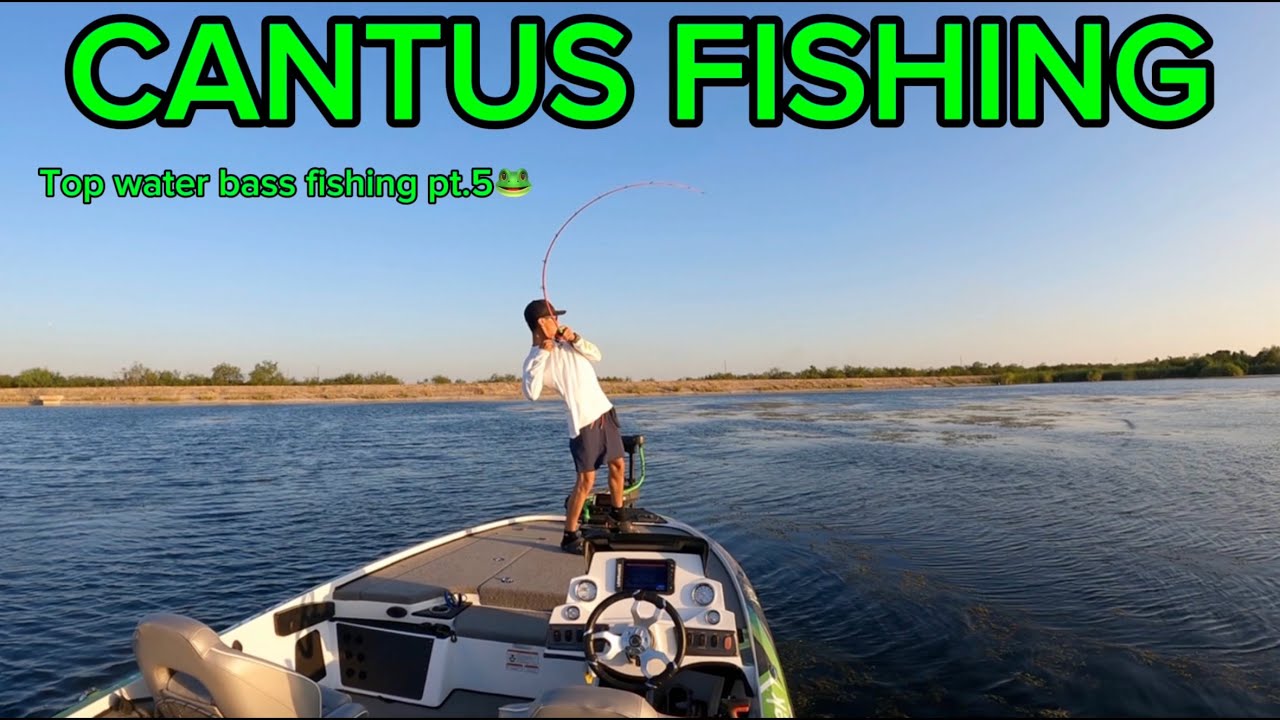 Quick top water bass fishing pt.5 - YouTube
