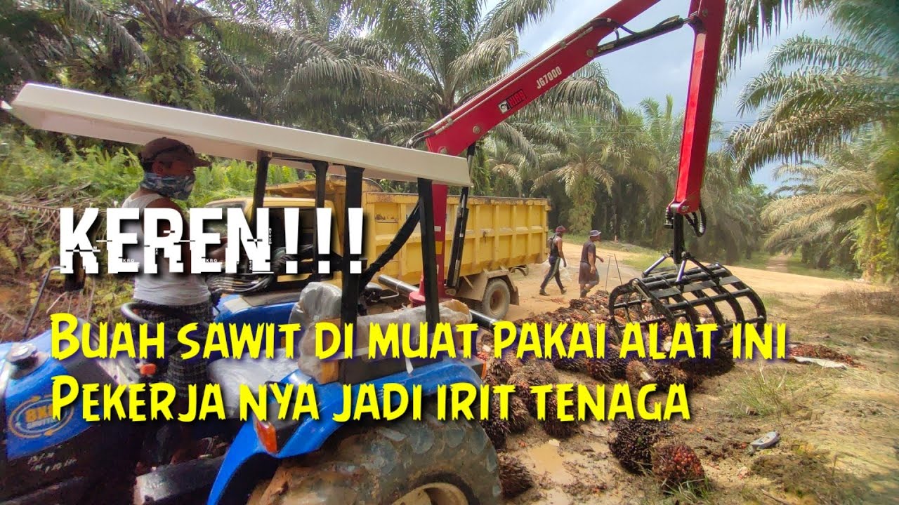 Keren alat loading buah sawit,tractor new holand tt45 - YouTube