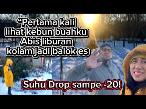 GREBEK KEBUN BUAHKU BEKU -20! Salju MEMUTIH KRISTAL! BACK TO REALITY🇷🇴, KOLAM IKAN KETUTUP BALOK ES!