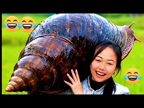 This 5 -Minute viral workout lied to Me ...Badly🤣😂🤣