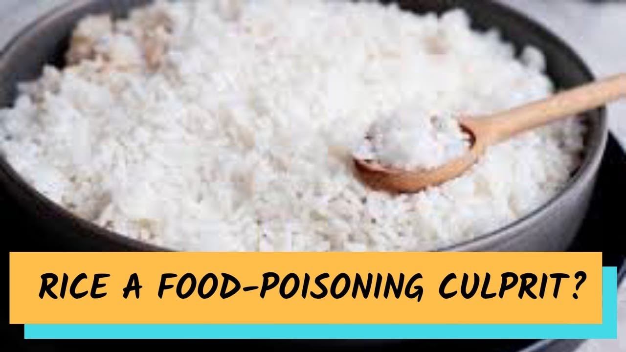 Rice a Food- Poisoning Culprit? - YouTube
