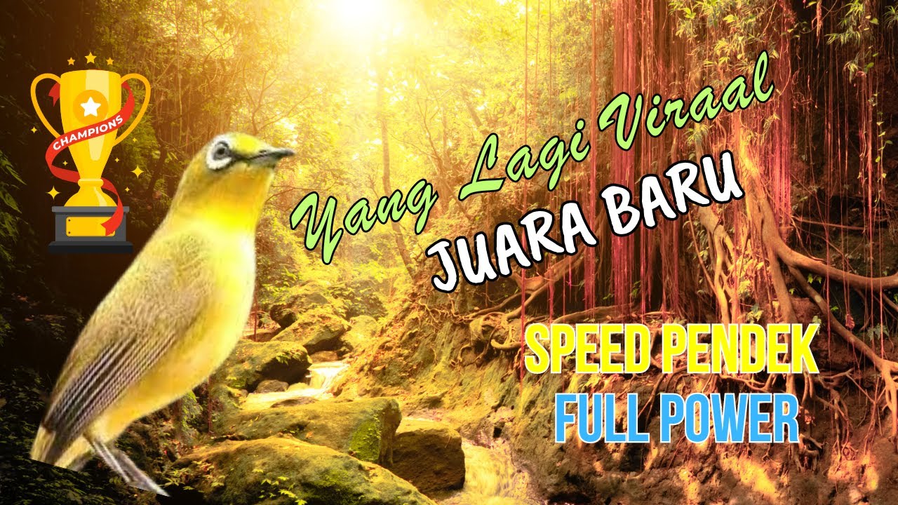 YANG LAGI VIRAL JUARA BARU SPEED PENDEK FULL POWER | MASTERAN KECIAL ...