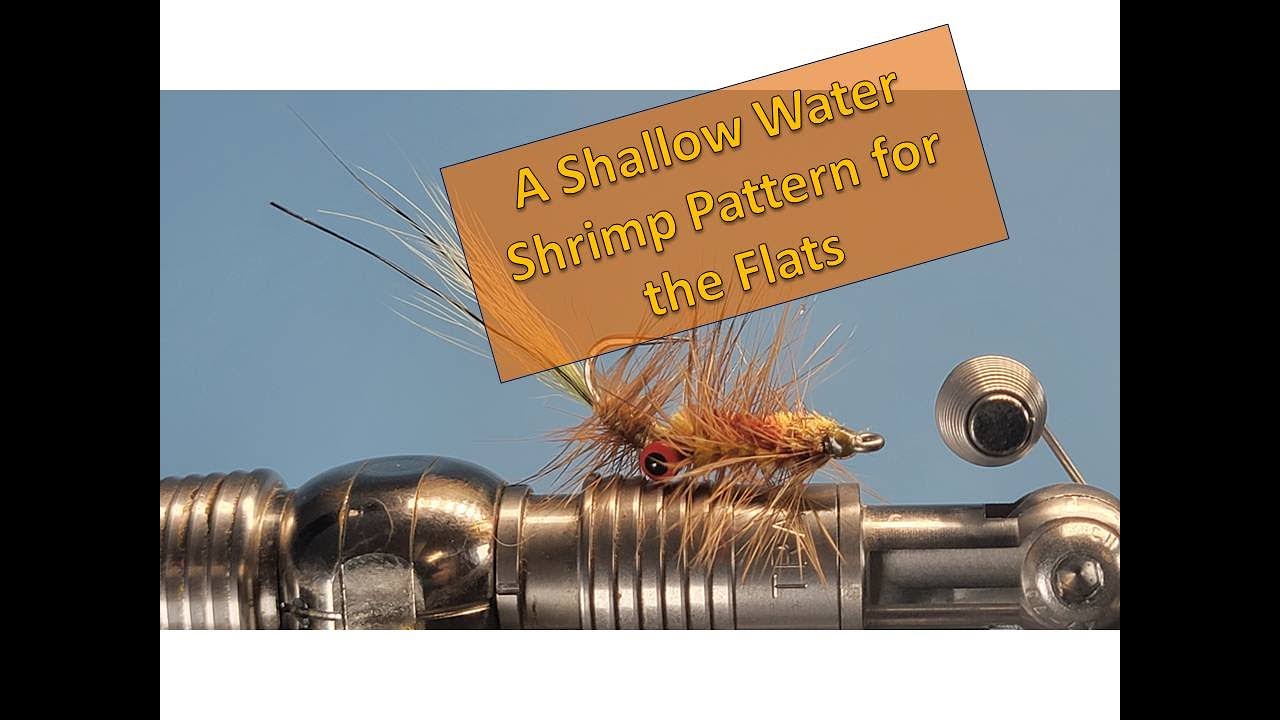 Ron Head’s Red Eyed Shrimp - YouTube