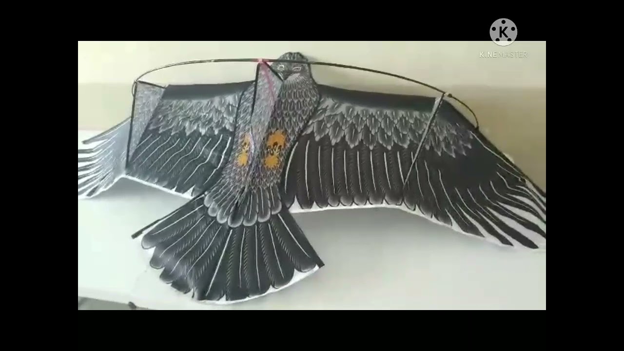 1.8 meter Eagle kite #Eagle kite - YouTube