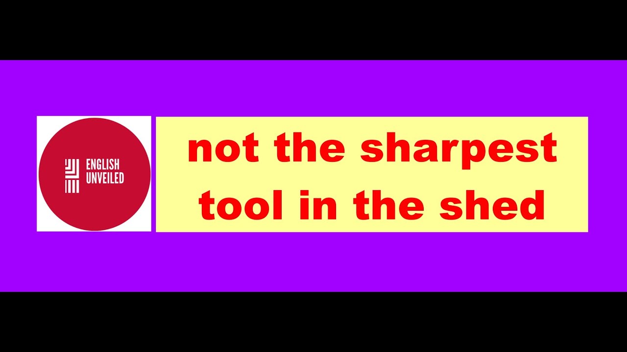 not the sharpest tool in the shed - #snippet_of_english GUESS THE ...