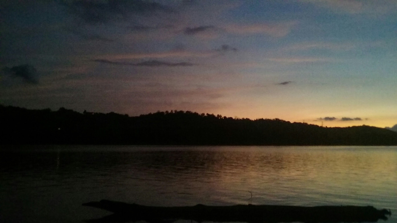 tropical gamer 563 Live Stream - YouTube