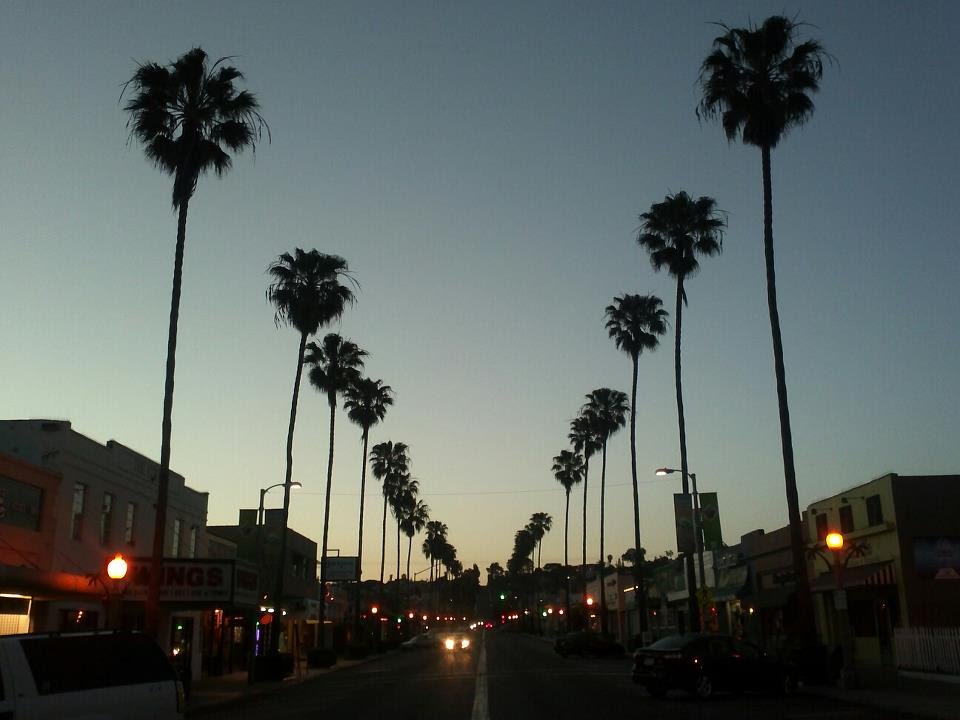 BIRD BUTTER... Anthony Rebello Skateboarding/ Seattle/ San Fransisco ...